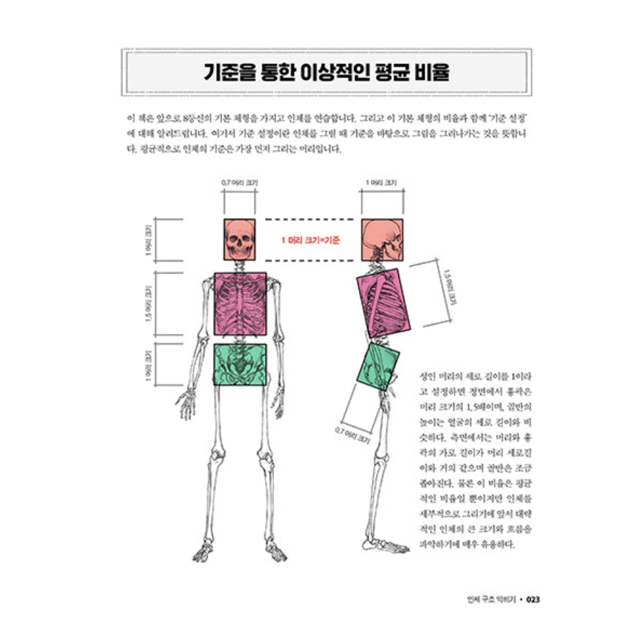 Natural Human Body Drawing - Now In Seoul