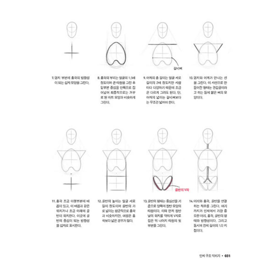 Natural Human Body Drawing - Now In Seoul