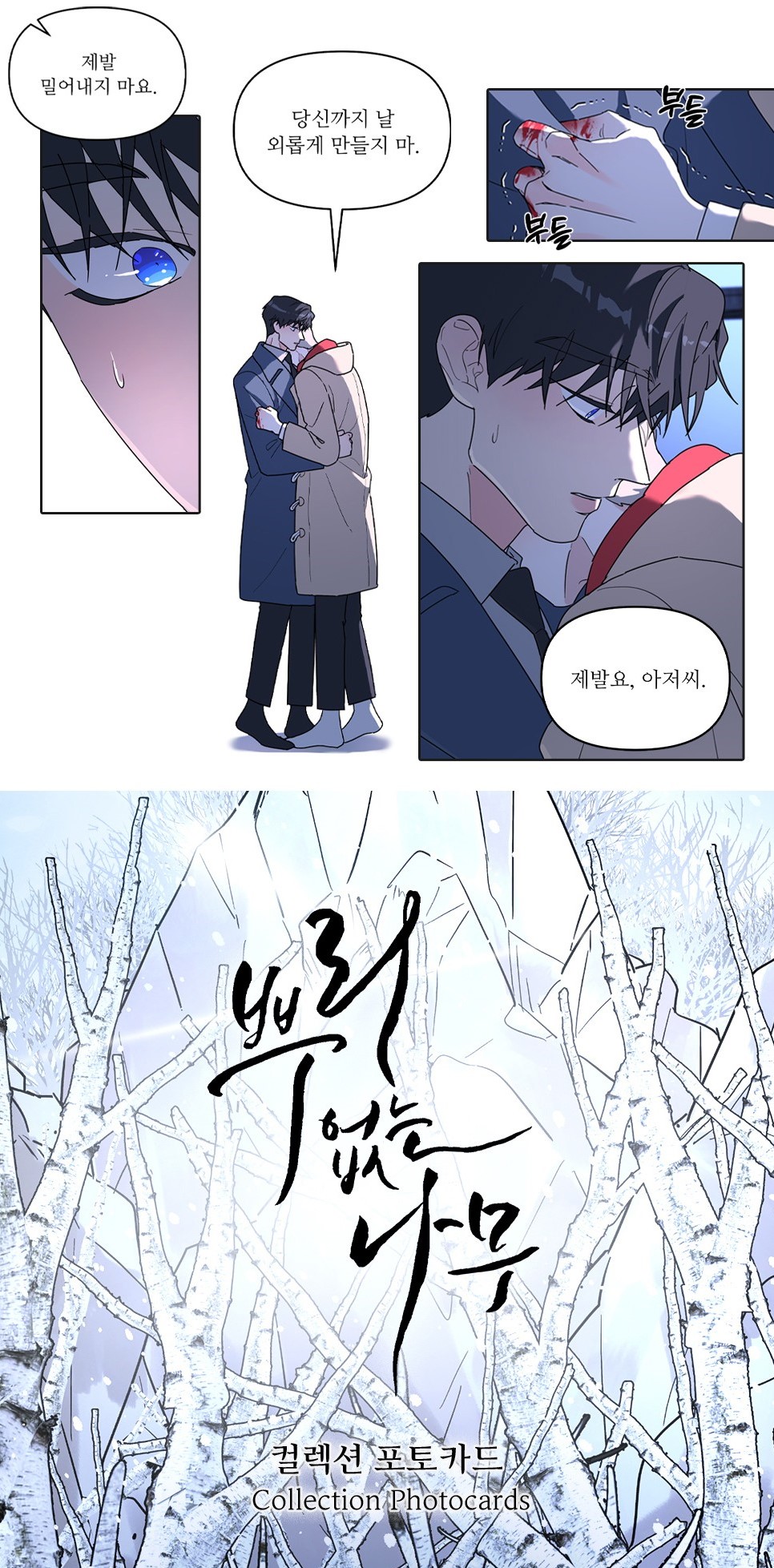 A Tree Without Roots Collection Photo Cards - Now In Seoul