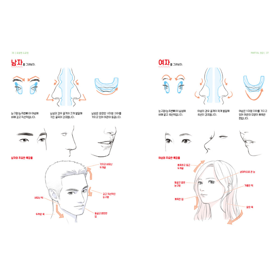 Useful Drawing Book - Now In Seoul