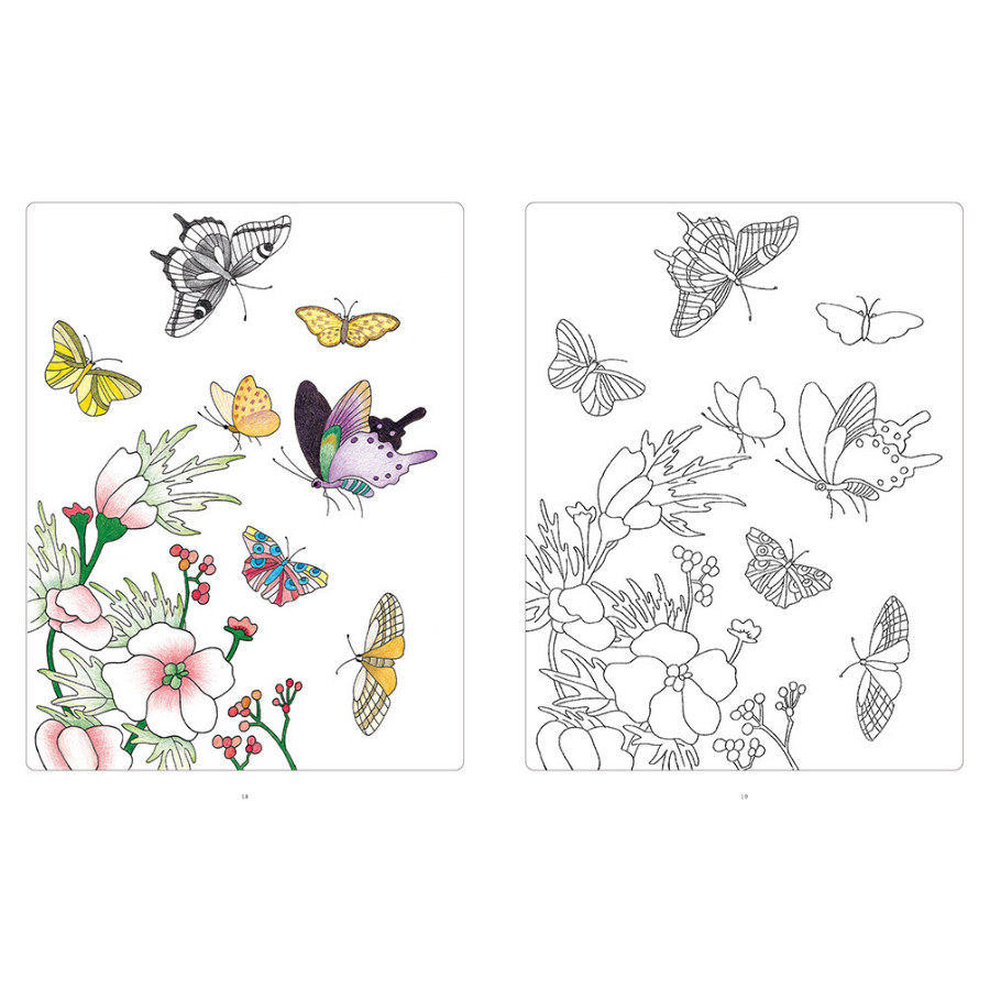 Twelve Months of Good Luck Korean Minhwa Coloring Book - Now In Seoul