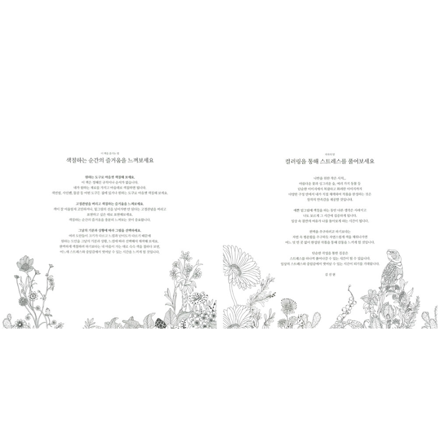 PANDORA: Anti-Stress Coloring Book - Now In Seoul