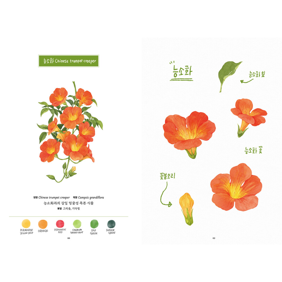 I-rang's Nature-Inspired Sticker Book - Now In Seoul