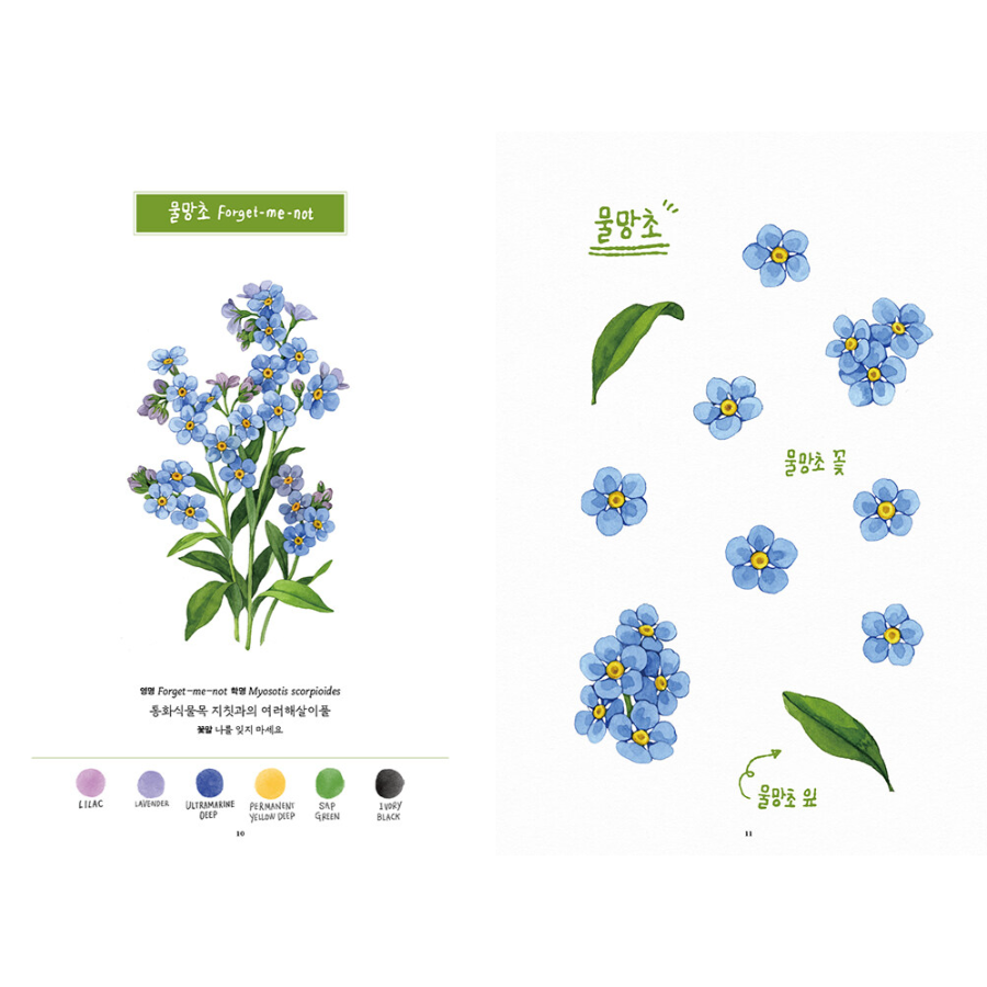 I-rang's Nature-Inspired Sticker Book - Now In Seoul