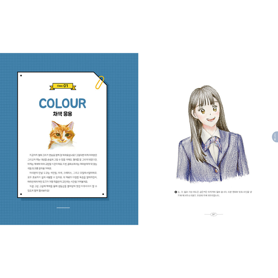 Step-by-Step Pencil Drawing in Everyday Life - Now In Seoul